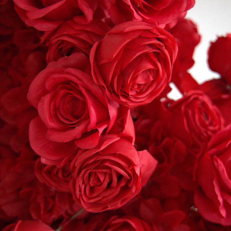 8ft Romantic Atmosphere Heart Shaped Red Rose Flower Wall Wedding Deco ...