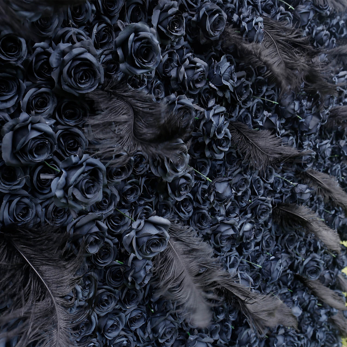 Black Rose Feather Flower Wall Backdrop for Birthday Party Decorations ...