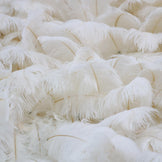 Boho White Feather Flower Wall for Wedding Arrangement Bridal Shower P ...