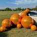 Orange Inflatable Mirror Ball Reusable Big Bubble Balloon – ubackdrop